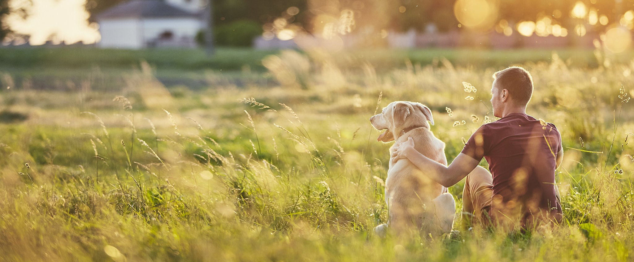 Long Life Dog Water - Daily Spring Canine Water, pH-Balanced Water for